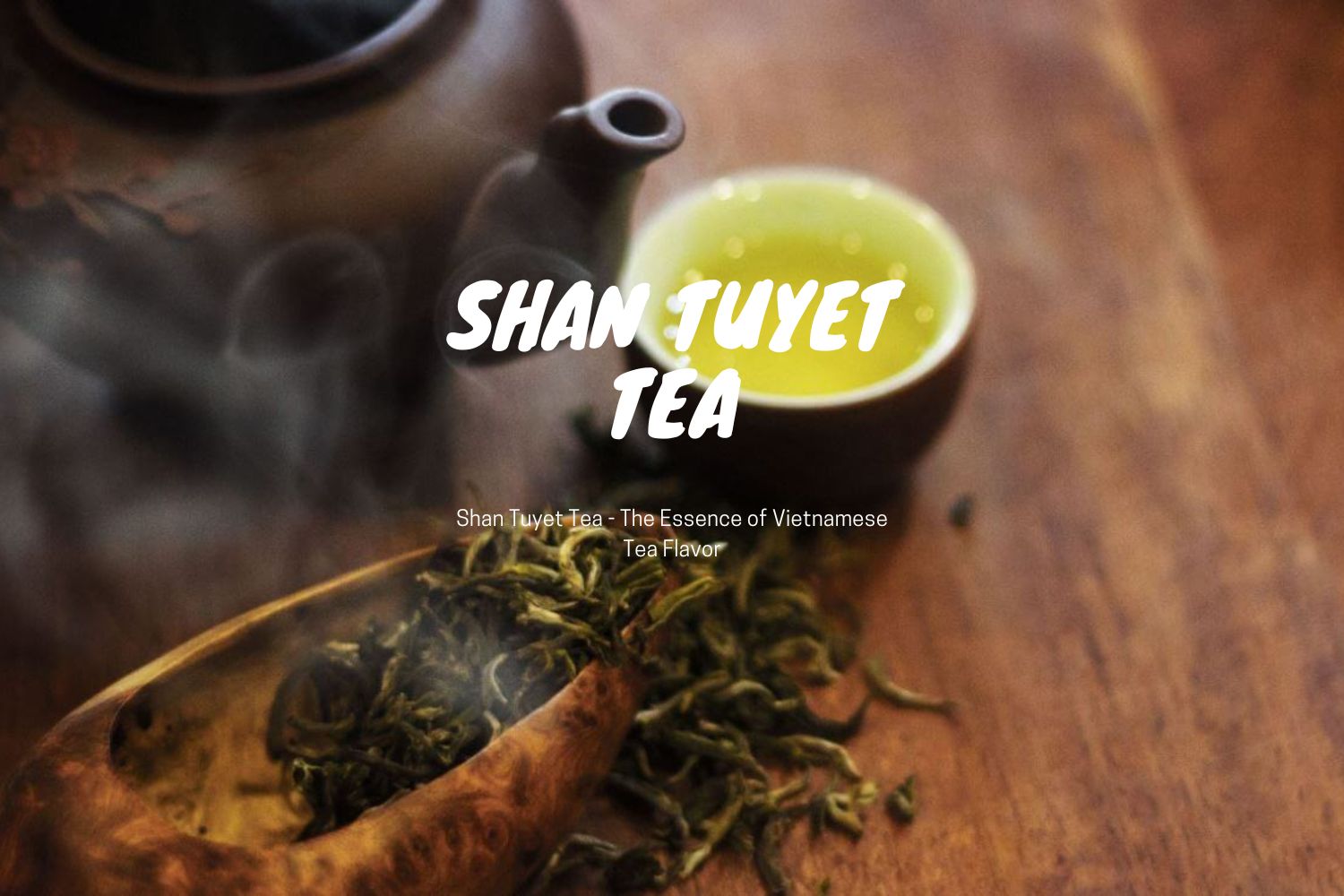 Shan Tuyet Tea - The Essence of Vietnamese Tea Flavor