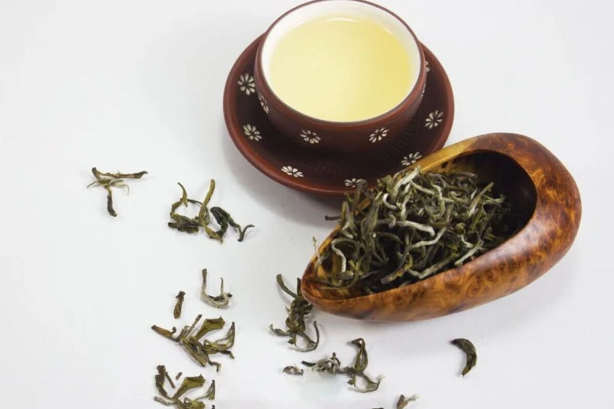 Shan Tuyet Tea - The Essence of Vietnamese Tea Flavor