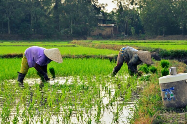 A detailed introduction about the Tay people in Vietnam