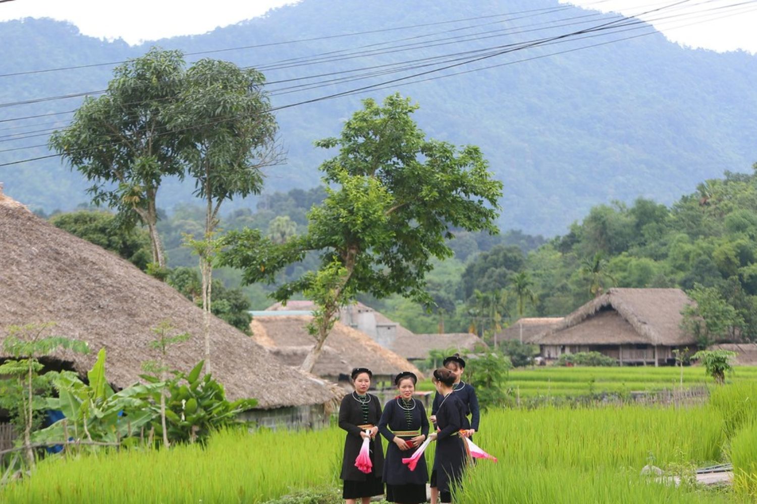 A detailed introduction about the Tay people in Vietnam